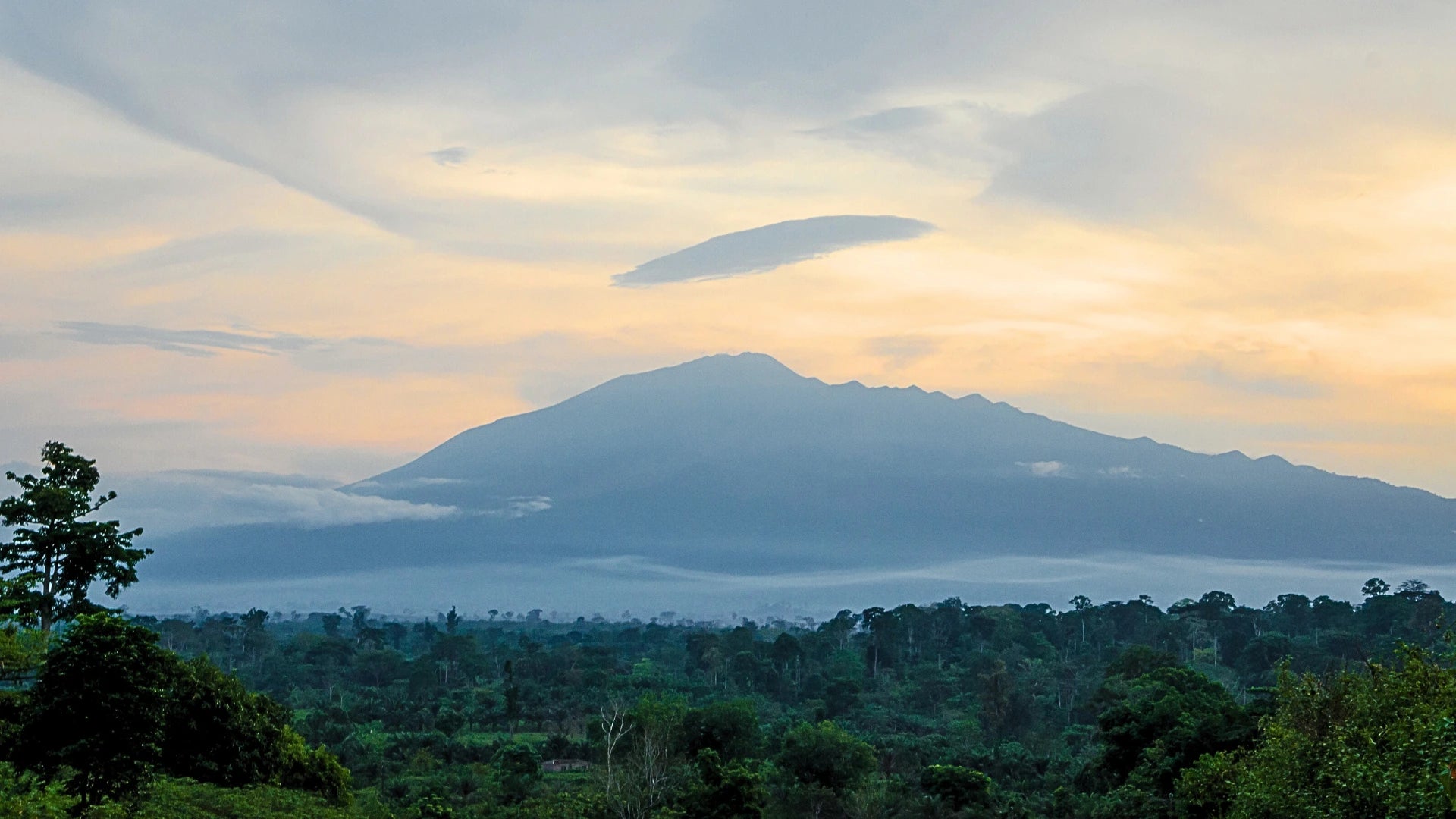 Cameroon Travel Guide: From Waza National Park to the Grassfields ...